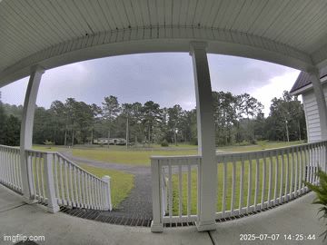 Dramatic Moment Lightning Strikes Tree Captured in Doorcam Video