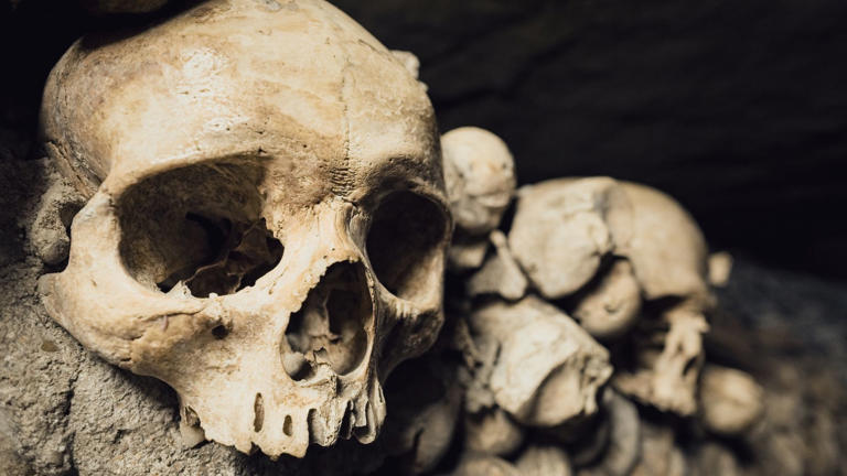 Earliest evidence of humans catching disease from animals dates to ...