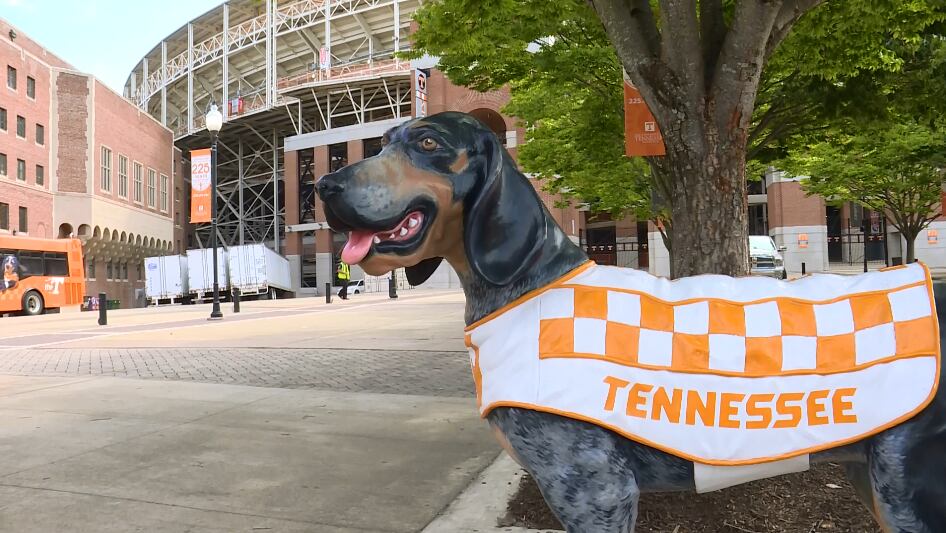 Vol Network earns Learfield Tier 1 Property of the Year for second year ...