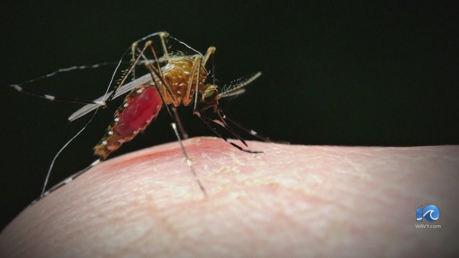 Mosquito sample tests positive for West Nile virus in Norfolk