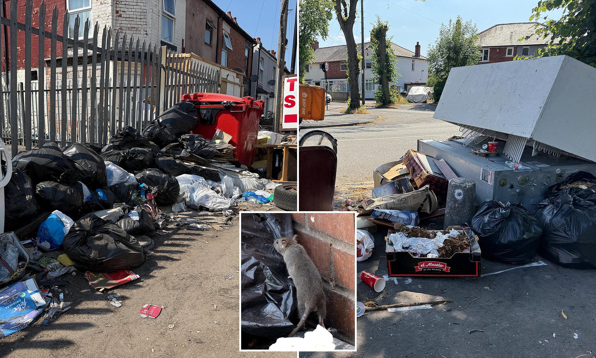 Rats and rotting piles of waste flood the streets of Birmingham amid ...
