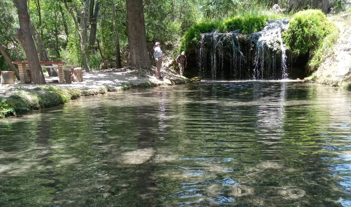 Tiny shelled creature - ‘world's smallest' ever found - is new species ...