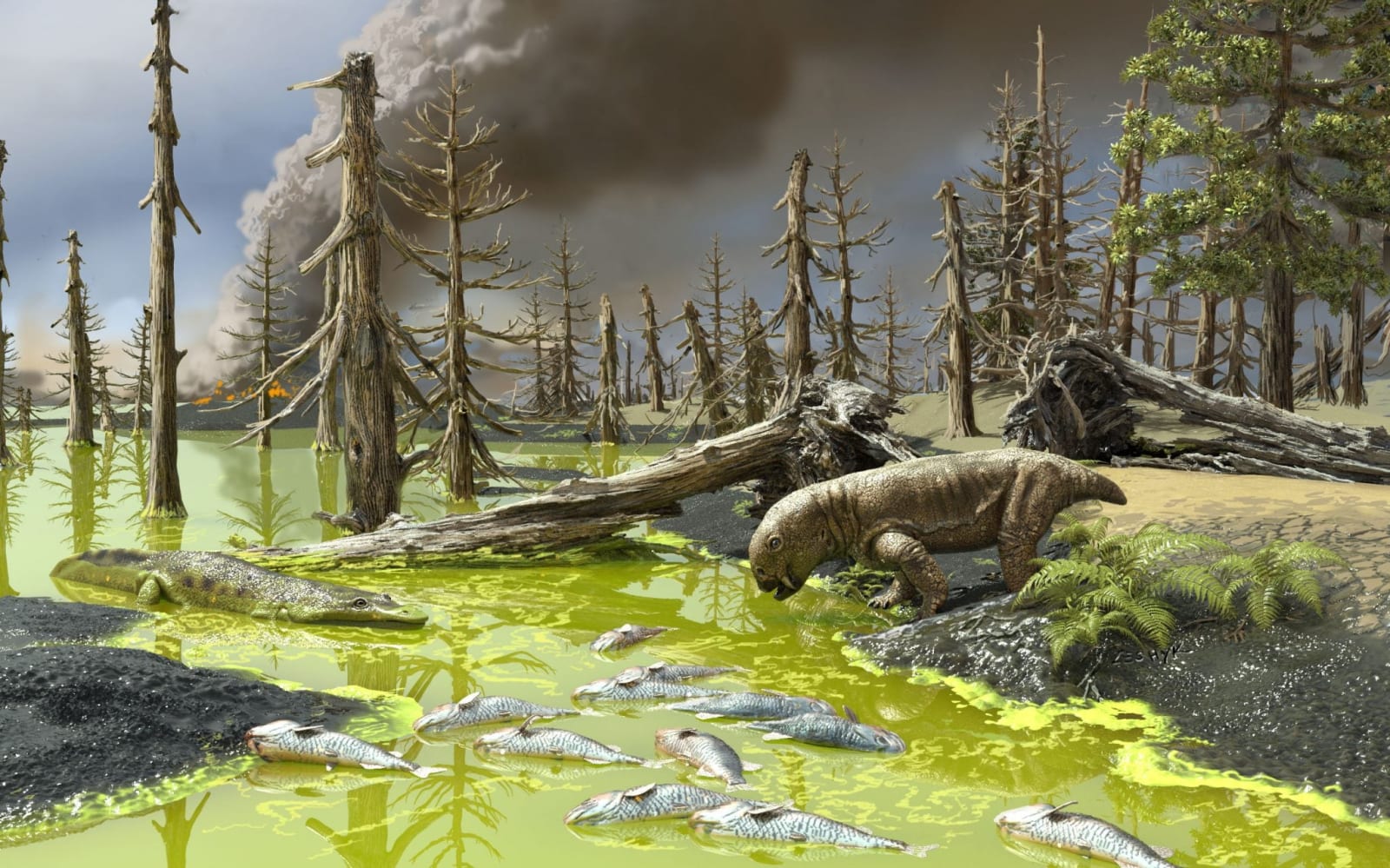 Earth's 'Great Dying' fueled 5 million years of global warming