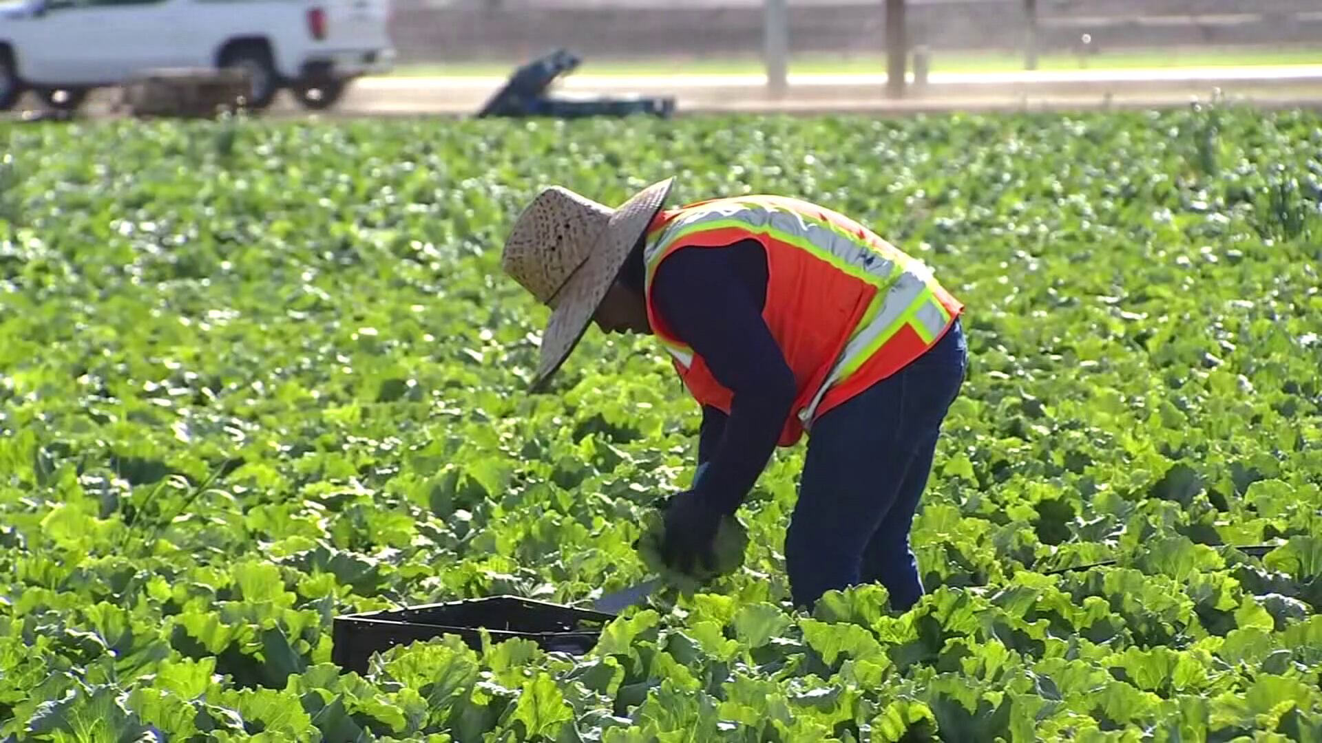 How seasonal farmworkers could be impacted by new Medicaid work ...