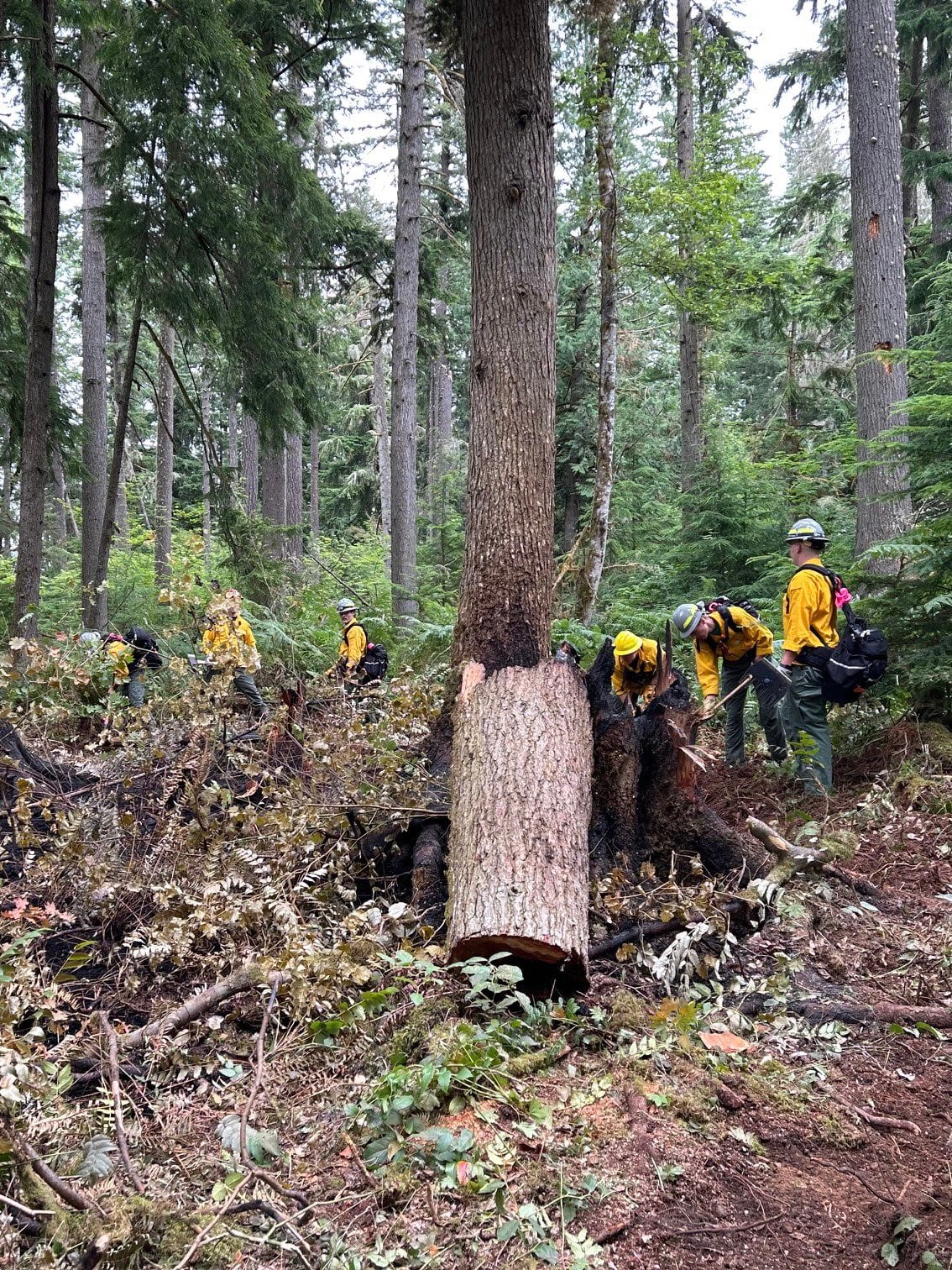 Pierce County firefighters deployed to help with eastern Washington ...