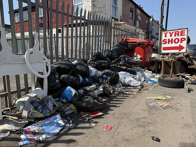 Rats and rotting piles of waste flood the streets of Birmingham amid ...