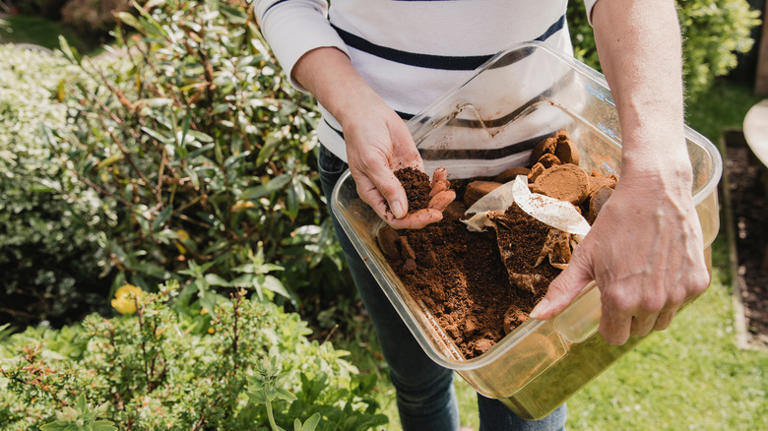 A Coffee Ground Trick That'll Help Deter Pests From Your Bird Feeder
