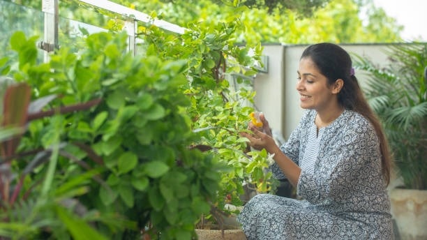 Transform your small balcony into a lush green haven with easy ...