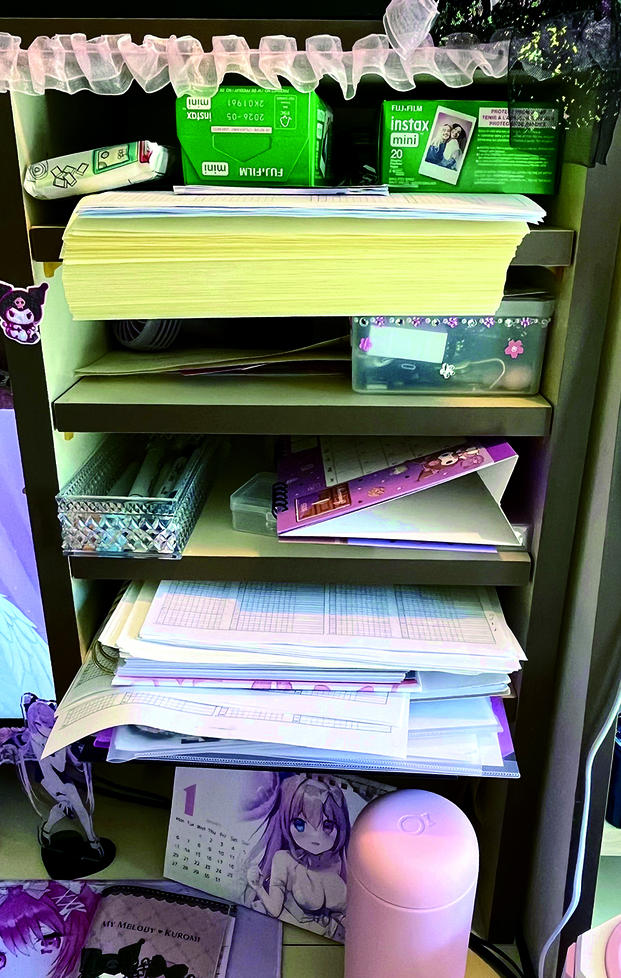 Inside the studio of anime artists Linnea Kataja and Bellamy Luna Brooks