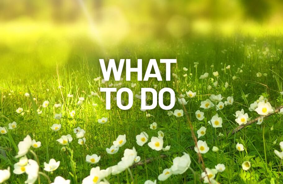 What to do: Sunday, May 3