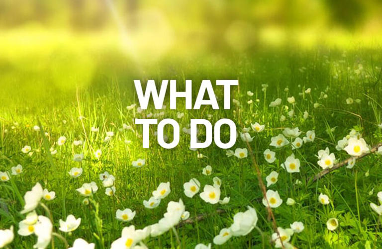 What to do: Sunday, May 3