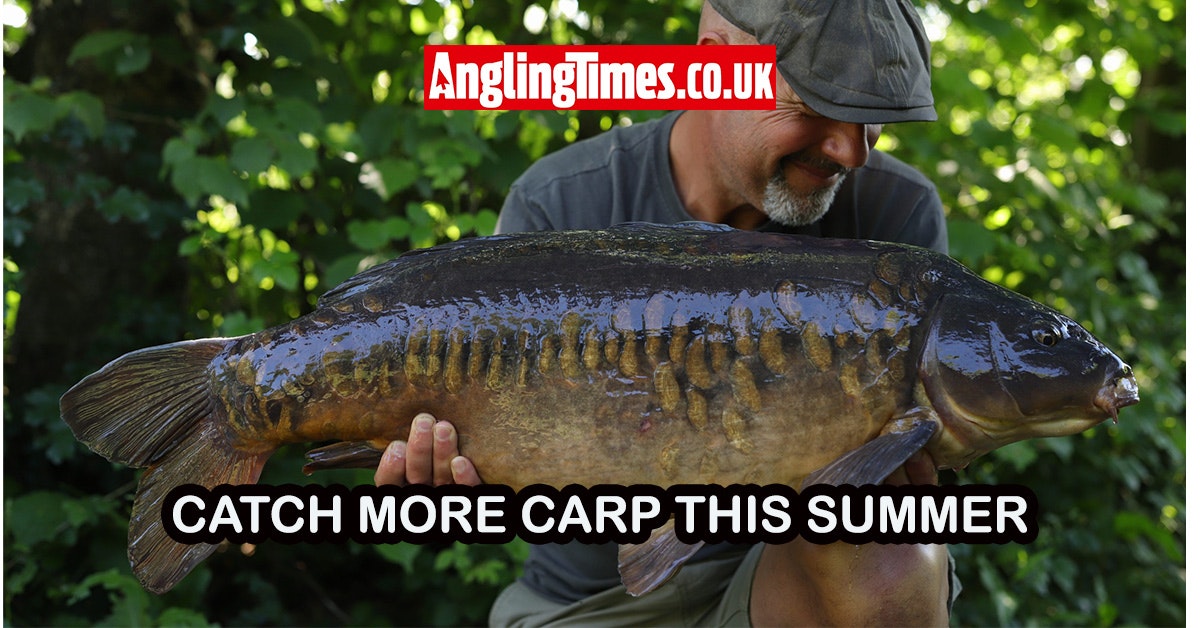 5 awesome tips to catch summer carp