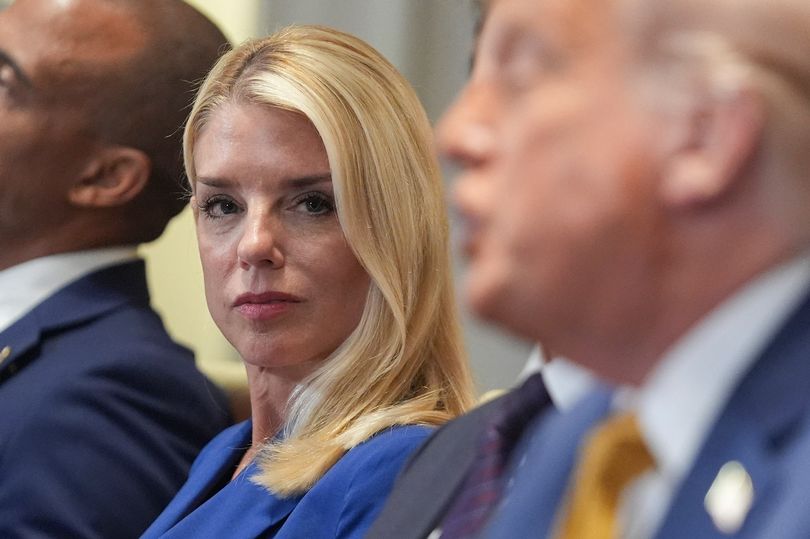 Megyn Kelly says Pam Bondi 'embarrassed the president' over handling of ...