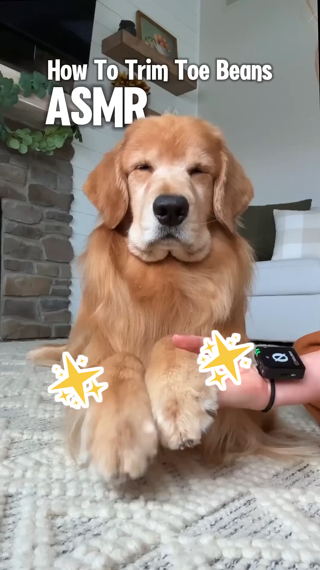 How To Trim Toe Beans – ASMR 💅🐾