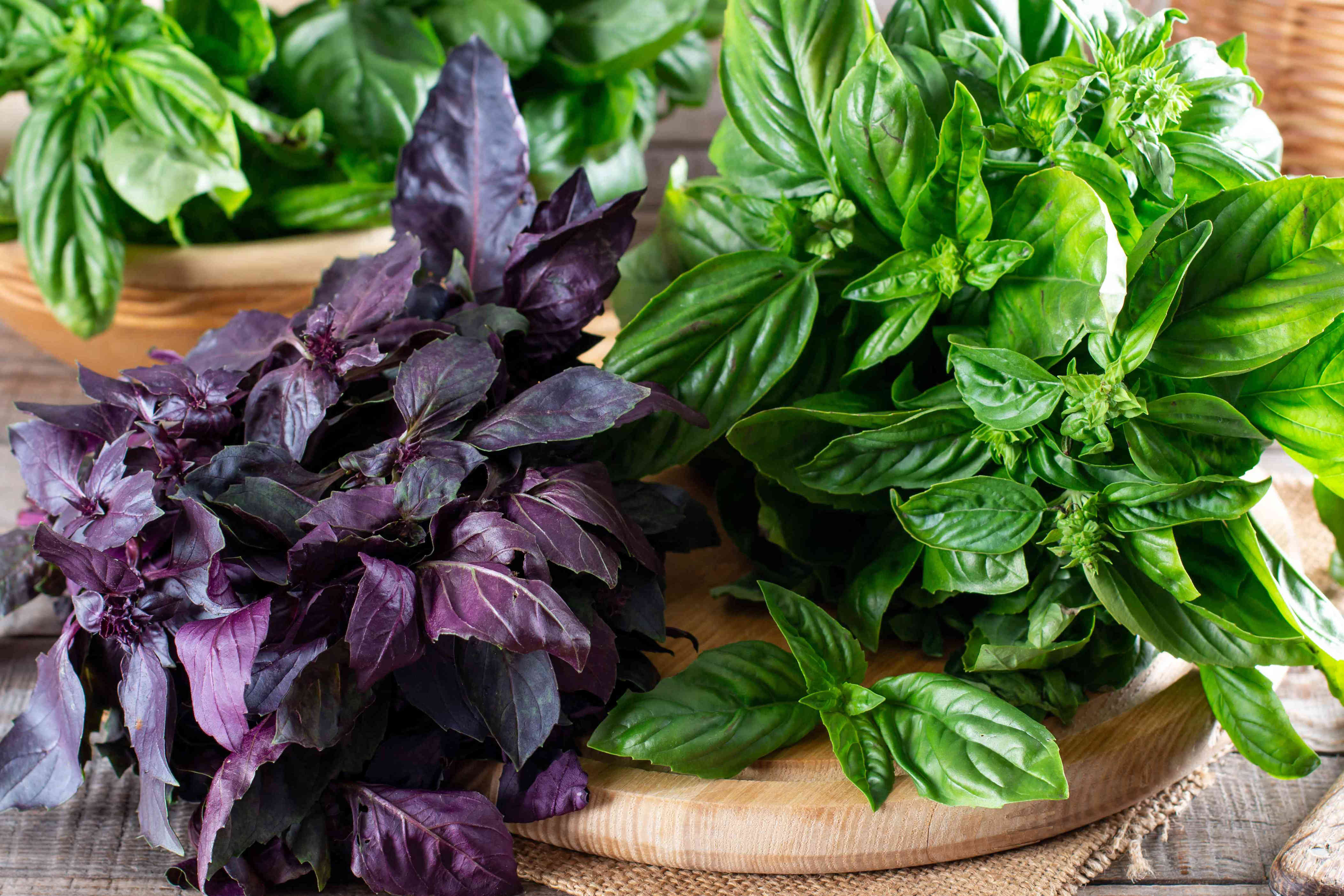The Only Way You Should Store Fresh Basil, According to a Produce Expert