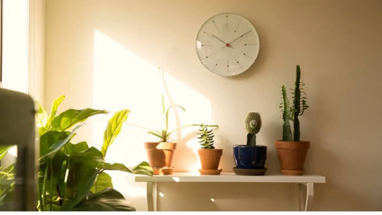 There is a risk of poverty if you hang a clock in this direction, know ...