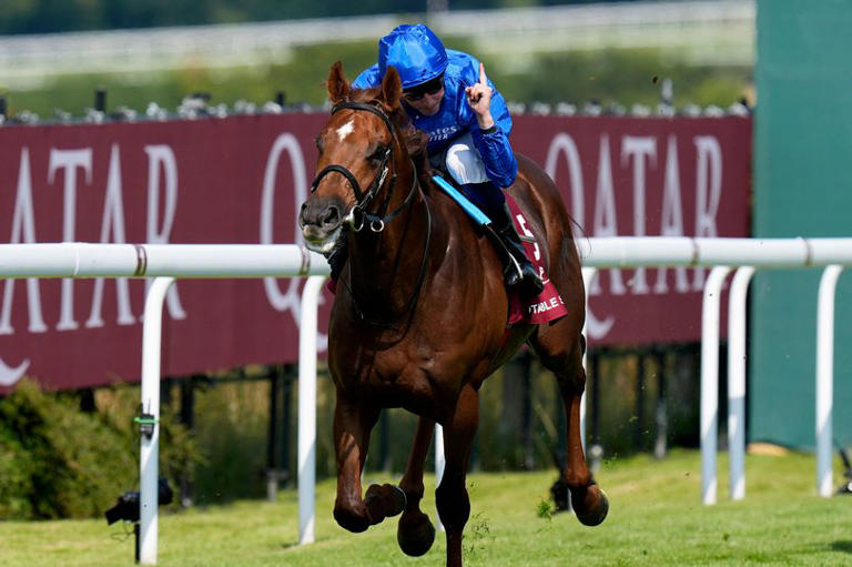 Globetrotting star can grab Lockinge glory – Jason Heavey's Saturday TV ...