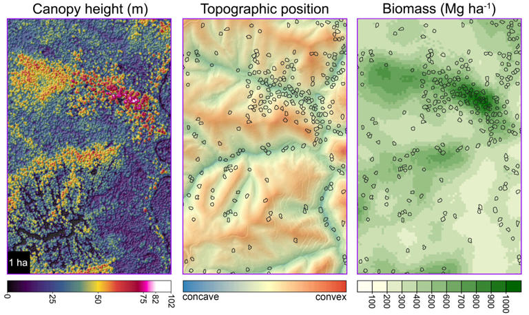 Permanent retention of exceptional trees can improve ecosystem ...