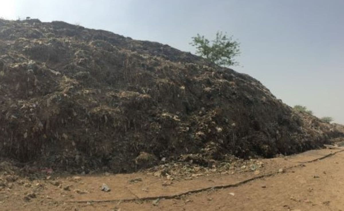 Delhi Reviews Landfill Cleanup, Pushes for Full Waste Processing By 2026