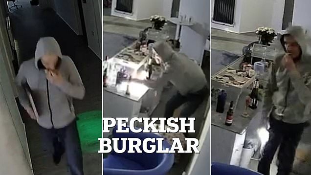 Office burglar helps himself to snacks before ransacking place