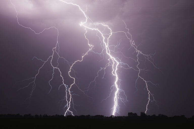 Florida recognized as state where fatal lightning deaths are most common