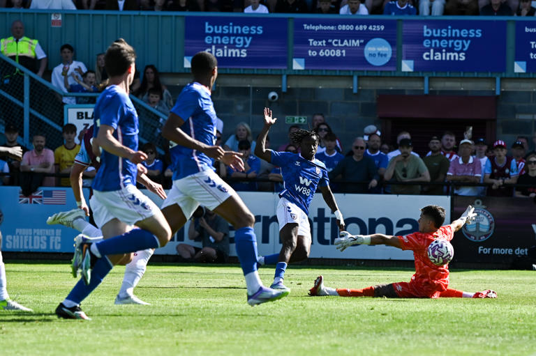 Sunderland player ratings: One 8 as striker takes chance and lots of 7s ...