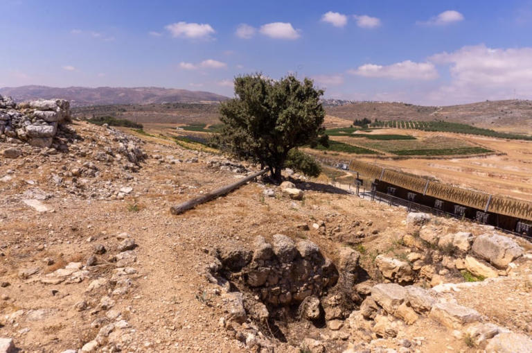 Shiloh excavators zero in on gate they say could match the Ark-capture ...
