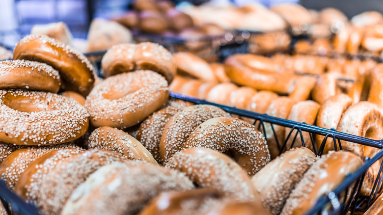 The Best Bagel Shop In Every State