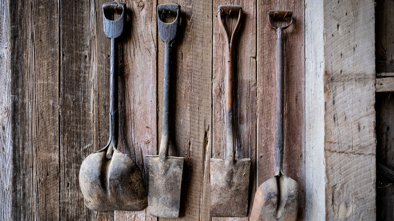 Easily Remove Rust With This Cleaning Hack Hiding In Your Kitchen