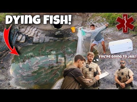 RESCUING DYING FISH TRAPPED In A DITCH!! Then this happened....