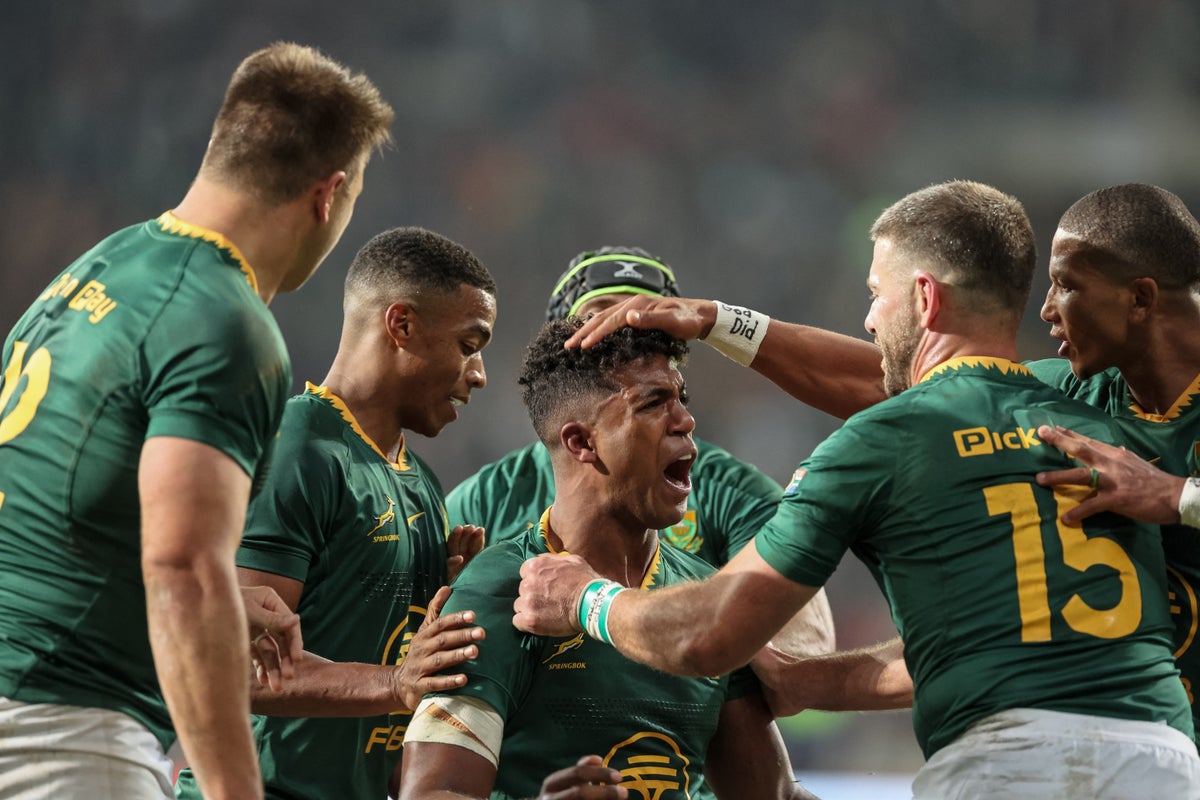 South Africa vs Italy live: Reaction as Springboks dominate despite ...