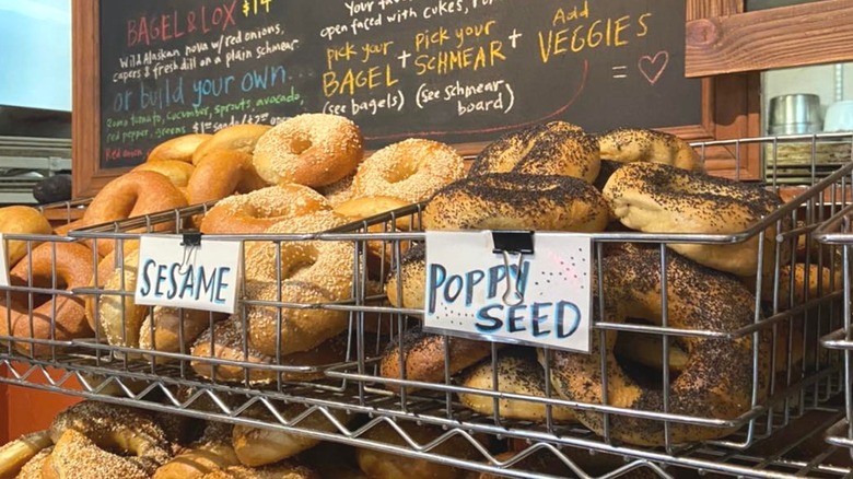 The Best Bagel Shop In Every State