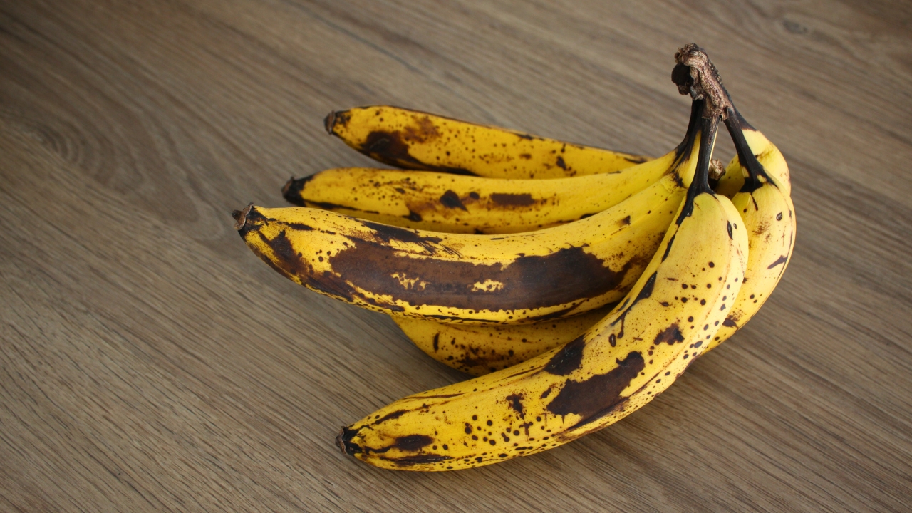 10 smells pest control pros say attract bugs