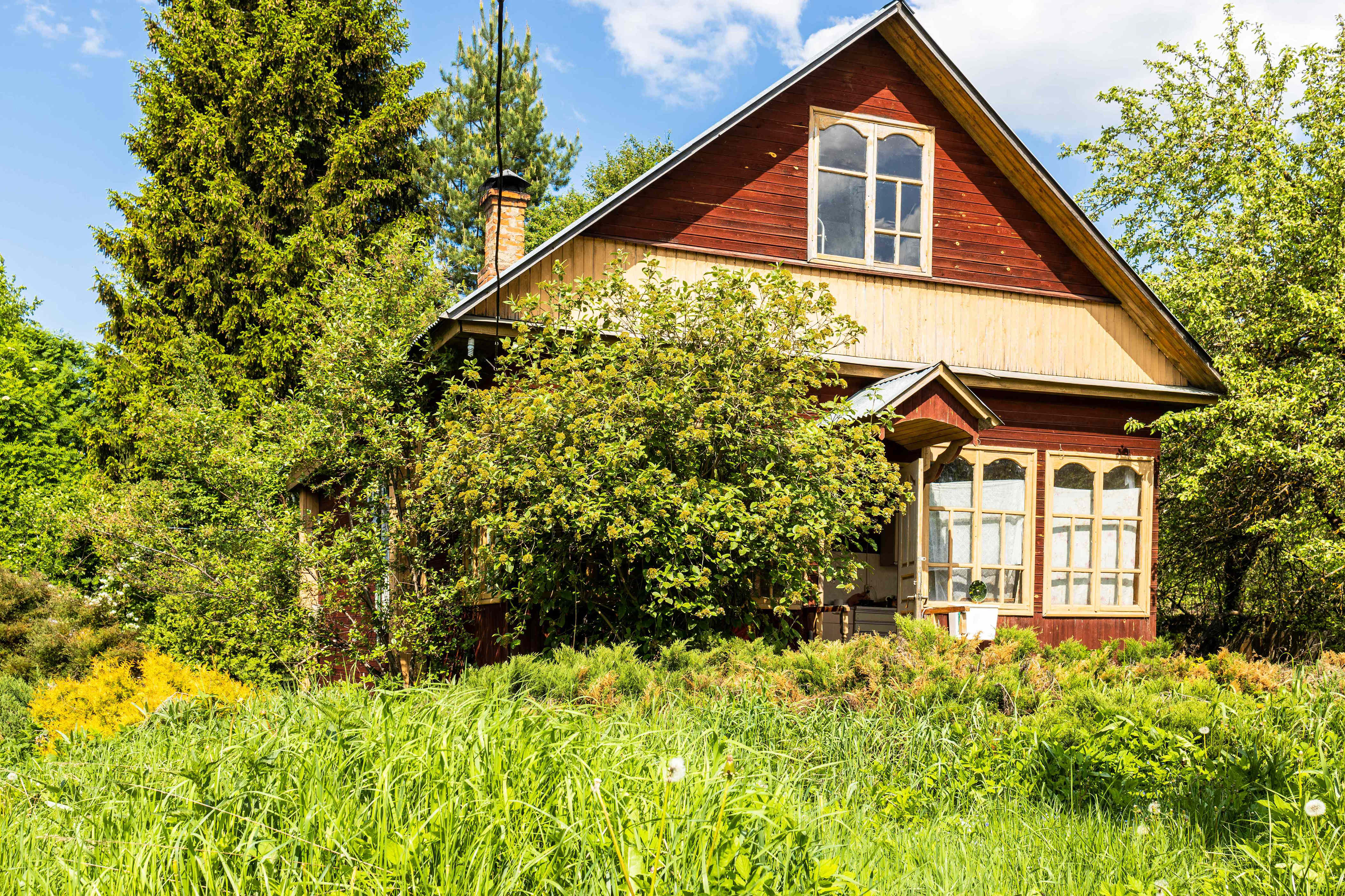 Yes, Your Front Yard Might Be Too Busy—6 Things Real Estate Pros Say ...