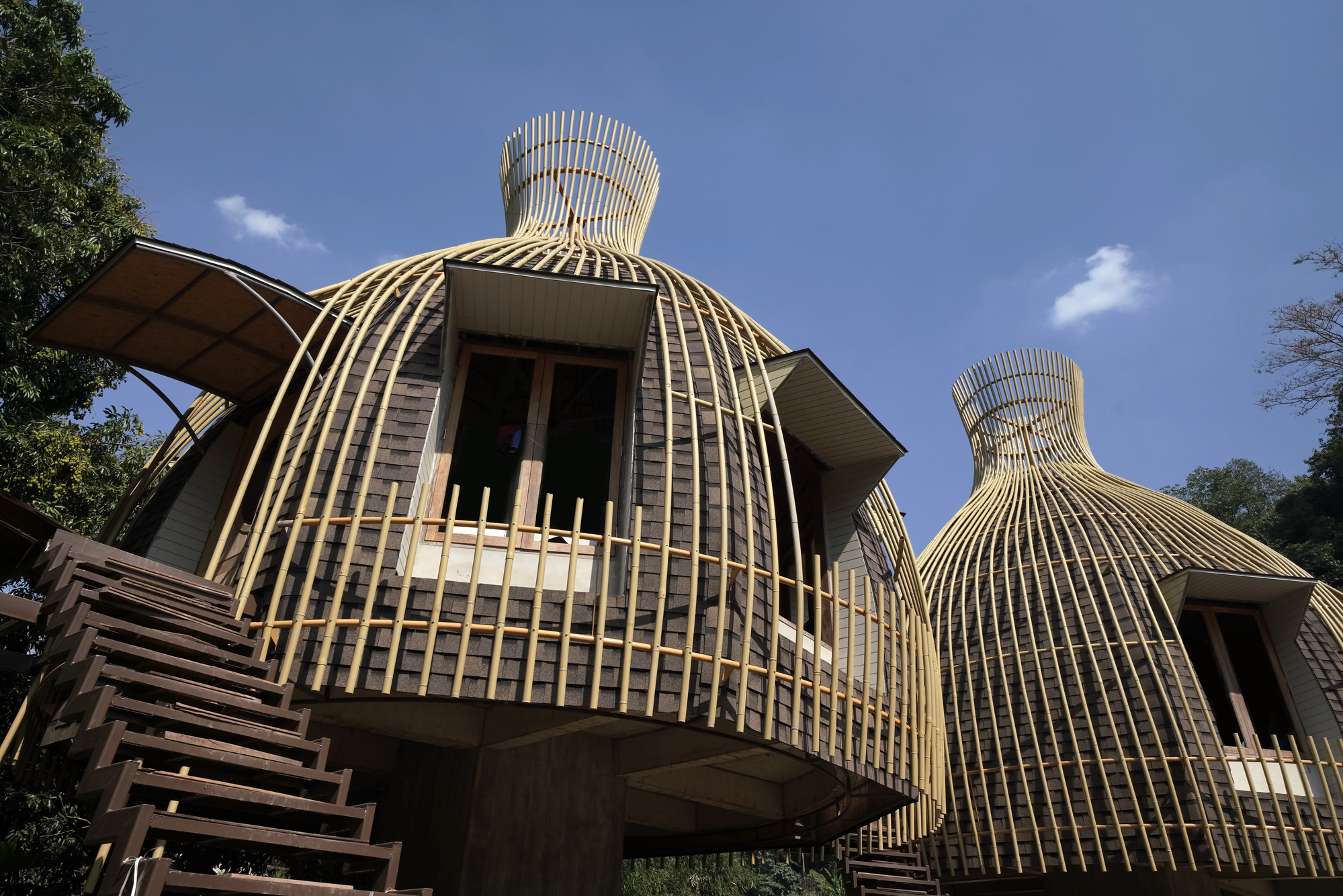 13 Indigenous Engineering Marvels Using Living Plants