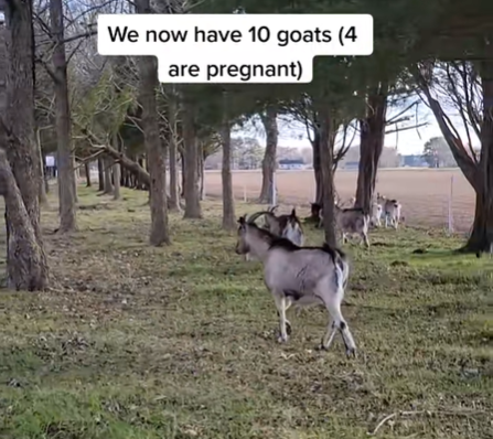 Farmer Shares Wholesome Reason You Should "Get Yourself A Man That Will ...