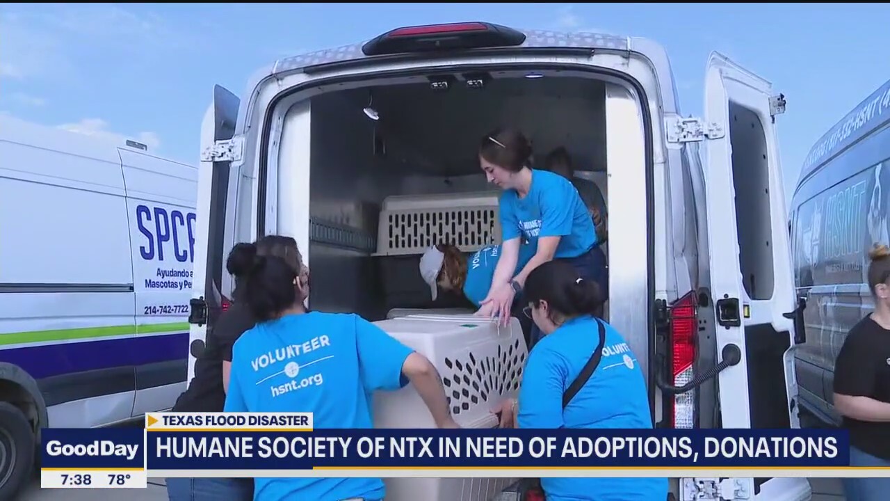 Humane society of North Texas and Wings of Rescue in need of adoptions ...