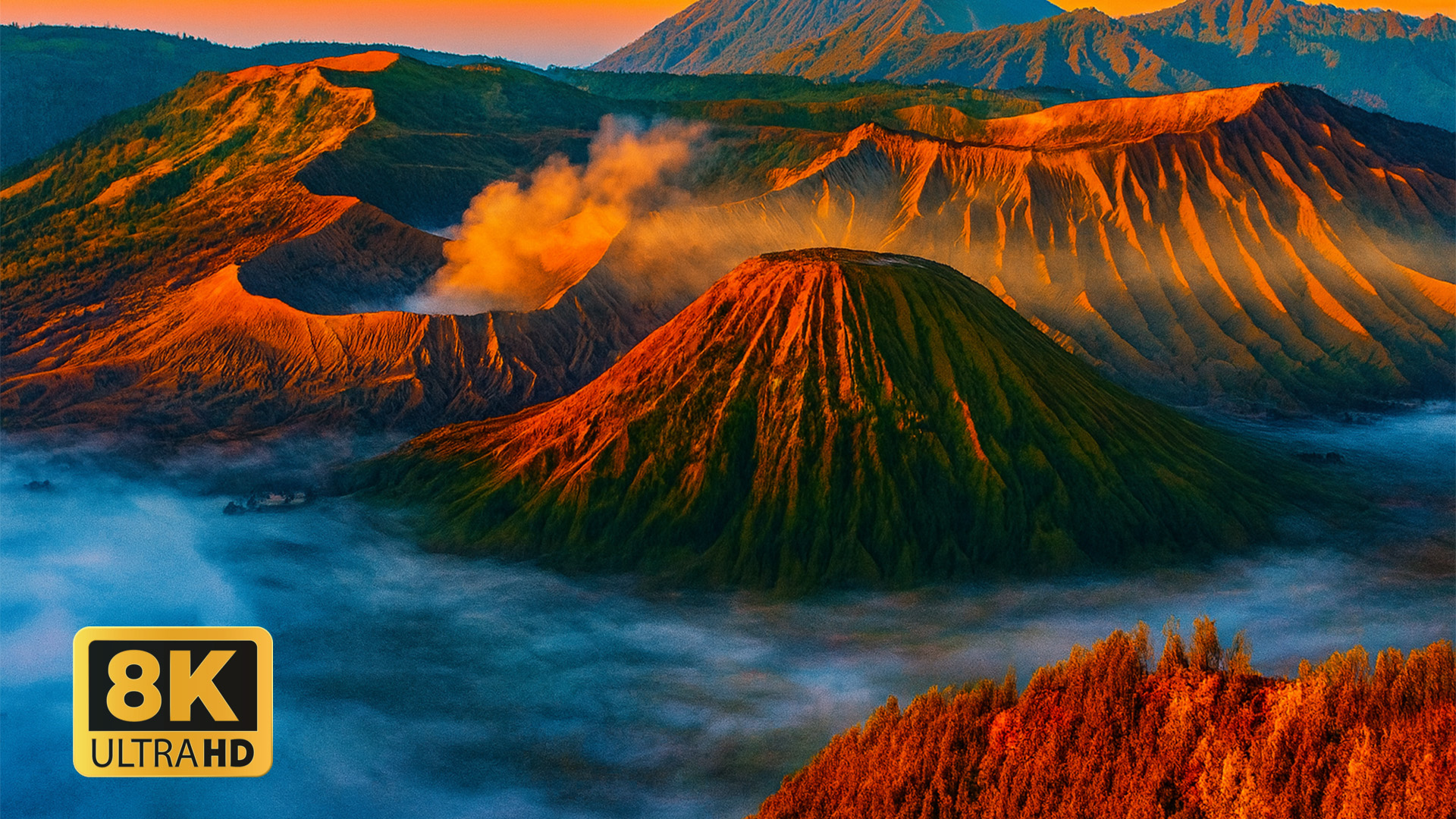 World’s Best 12K HDR 240FPS – Dolby Vision™ Showcase with Ultimate ...