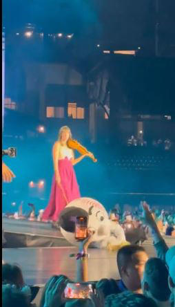 Mr. Met falls off stage during Lumineers concert at Citi Field in ...