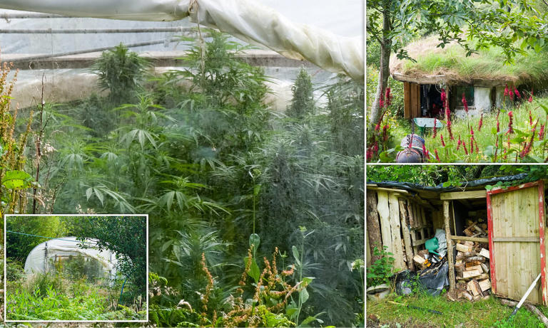We live in Britain's secret tipi village - here is why it's better than living in a house