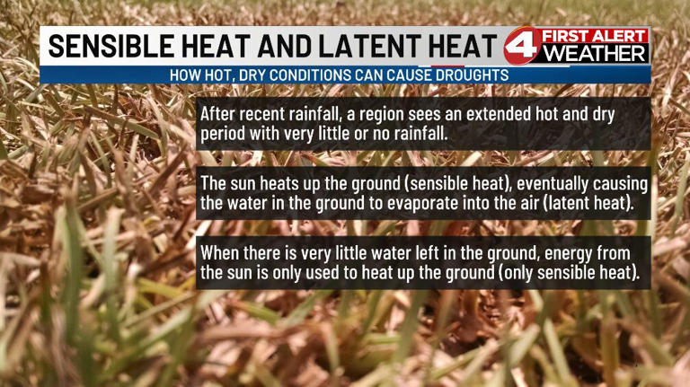 Revisiting the heat wave of July 1936