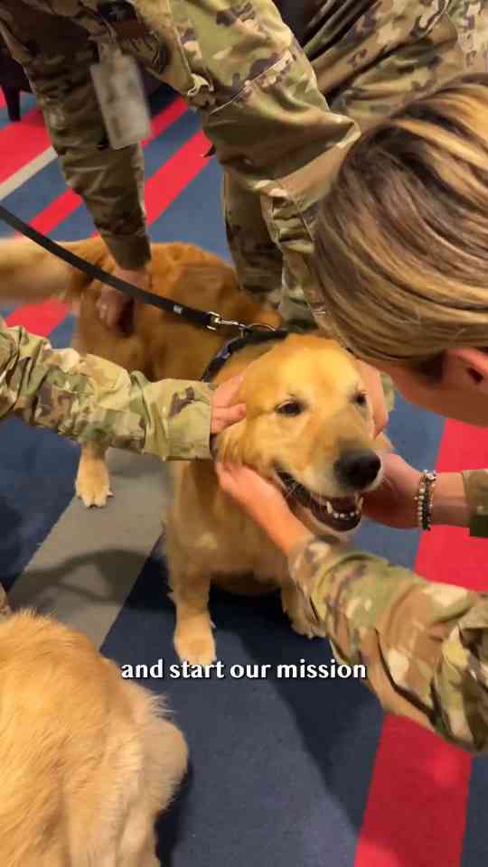 The Story Behind Our Smile Mission