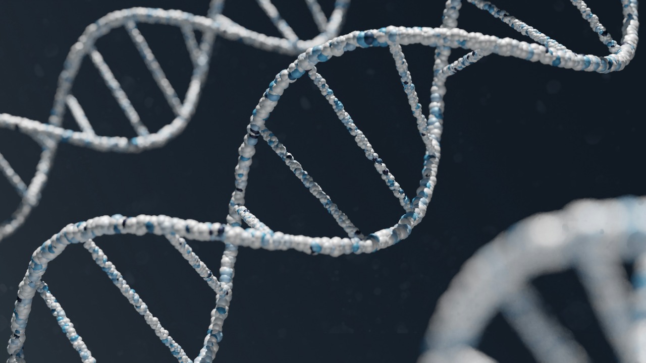 All Blue Eyed People Link Back to One Ancestor