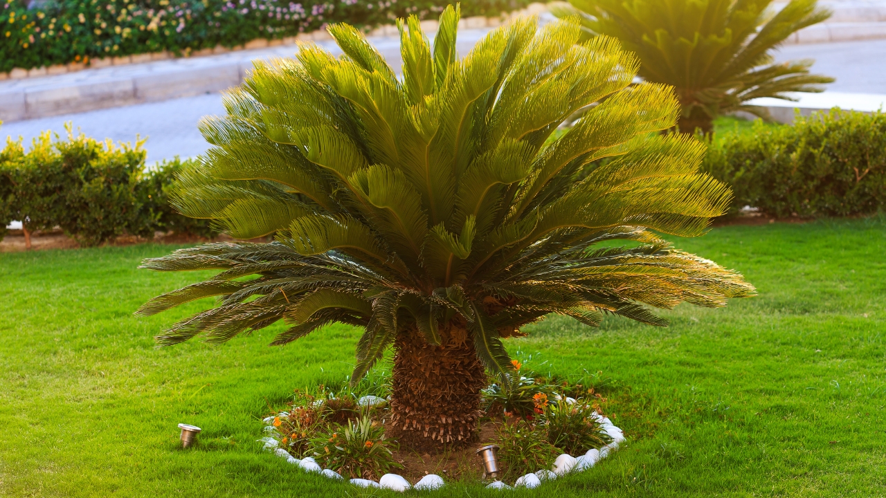 6 Common Plants That Are Toxic to Dogs (And Still in Most Yards)