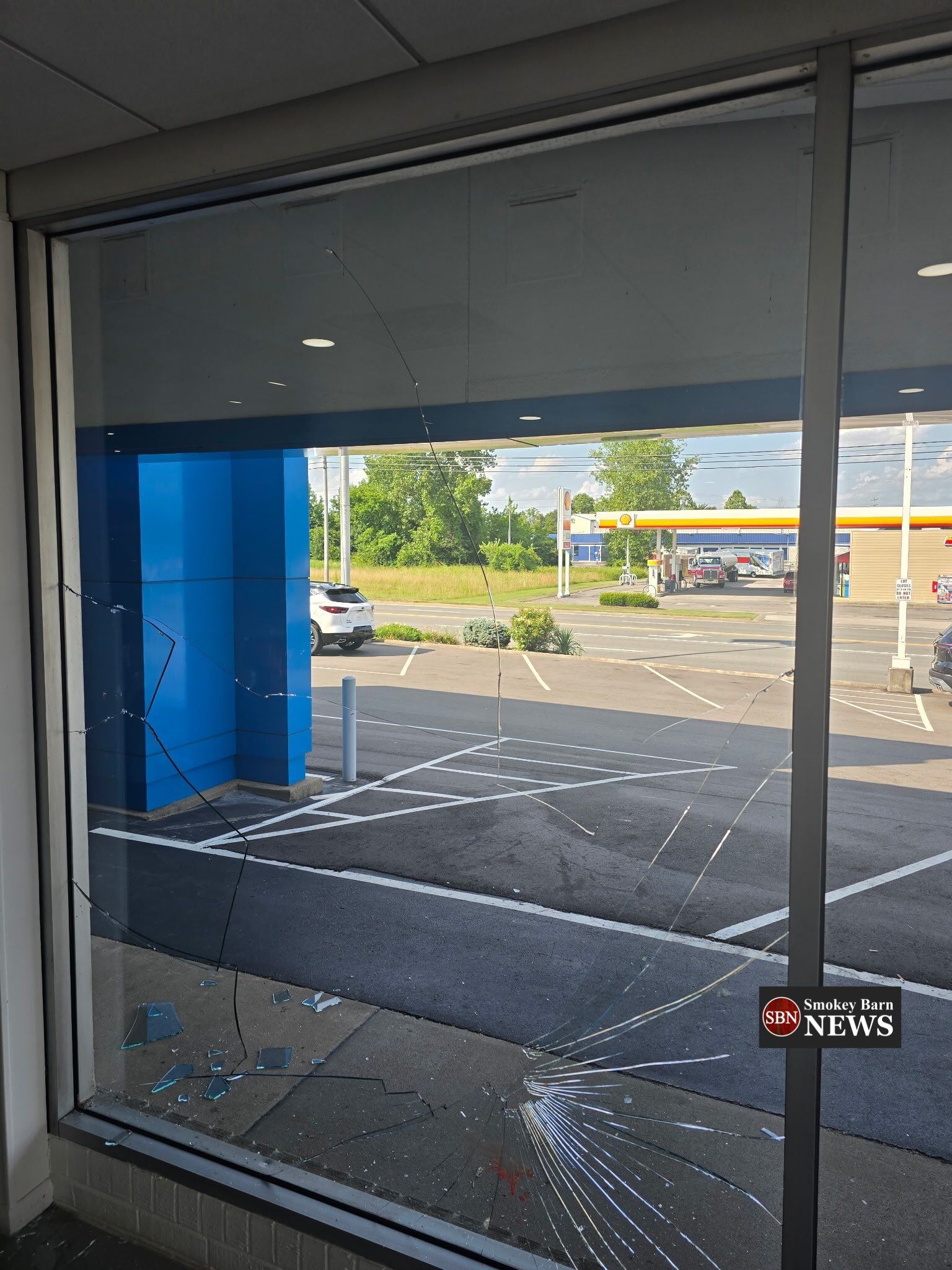 Deer dies after crashing through TN car dealership’s window