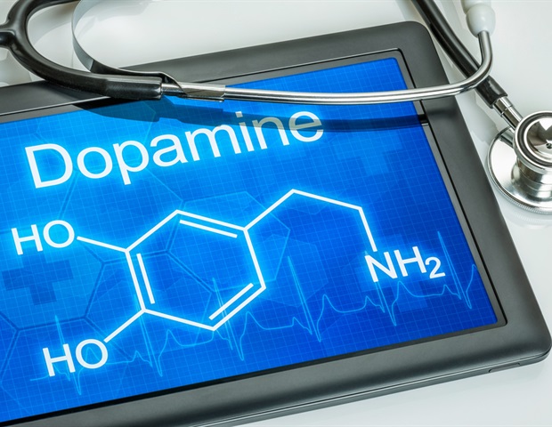 Study reveals dopamine sends precise signals rather than broad ...