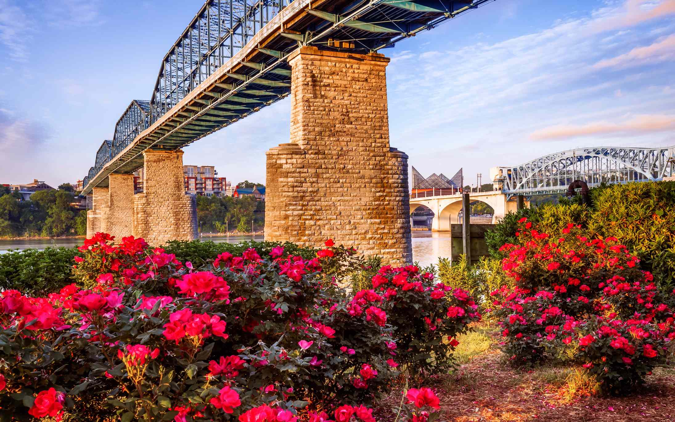 The 1 trip you should always take in March—especially if you love ...