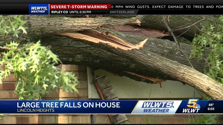 Saturday evening storms knock down trees, power lines in the Greater ...