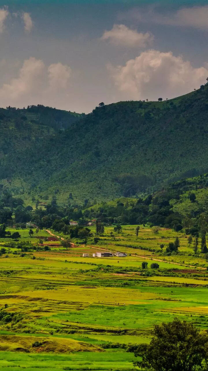 Coffee or Tea? A journey through India’s 8 most scenic plantations