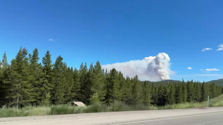 Wildfire near Princeton, B.C., prompts evacuation order for dozens of ...